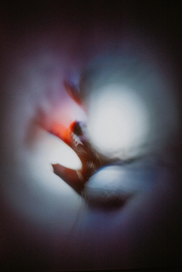 總是愛錯人？5個關鍵提問讓你避開感情盲點，不再重蹈覆轍！ | Bella.tw儂儂